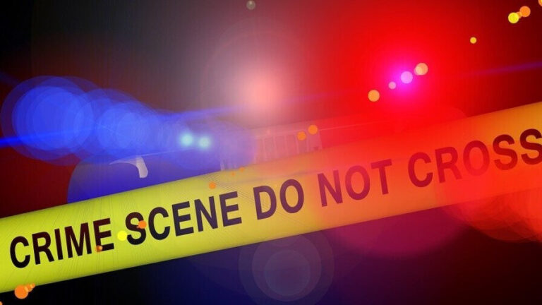 Home - The Patchman Collection The Patchman Collection